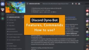 Discord Dyno Bot (Features, Commands and Setup)